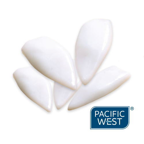 Squid Tubes U10 – Pacific West (Tenderised) 5kg CTN – North QldSeafoods